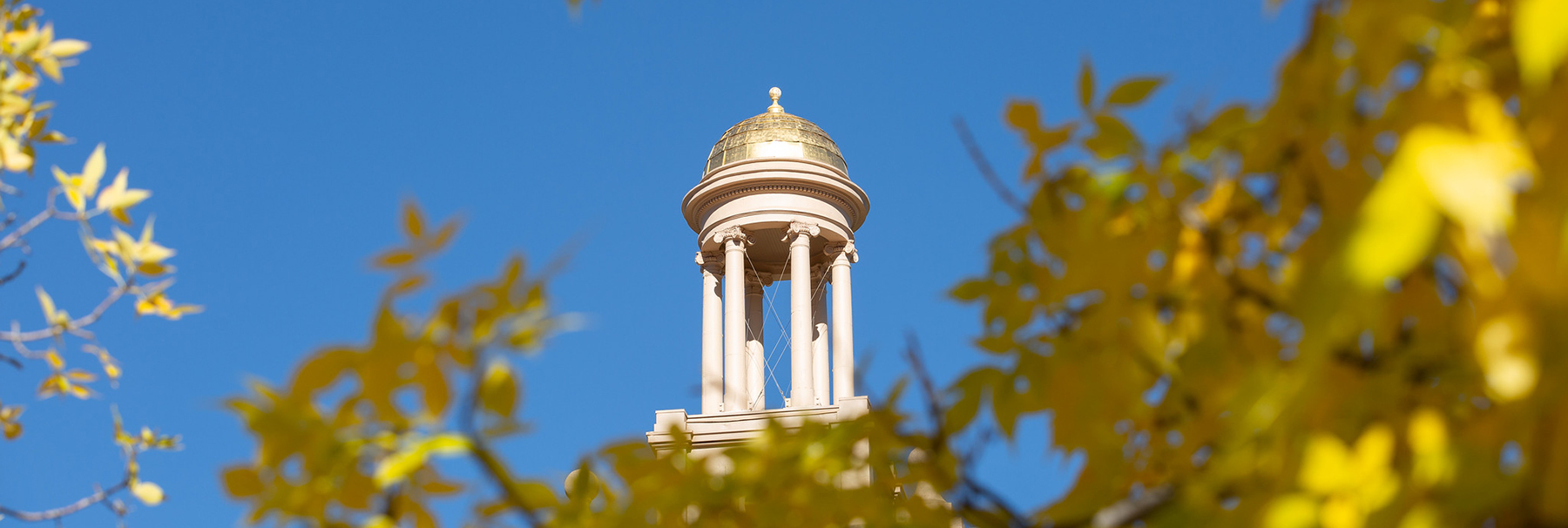 External - Conference and Event Services